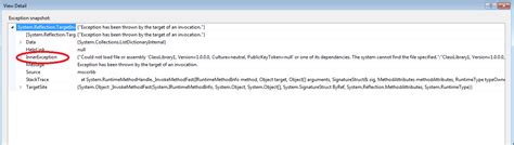 C How To Use Loaded Dlls Assembly Methods Which Is Referenced To