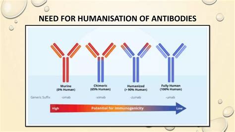 Humanisation Of Antibodies And Techniques Pptx