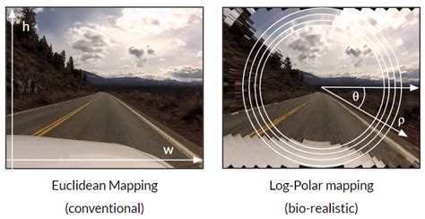 Euclidean And Log Polar Transformation Of The Same Image Download Scientific Diagram