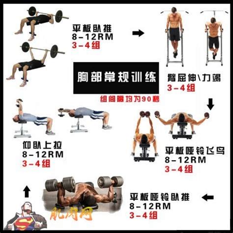 胸部常规训练卡片 肌肉网