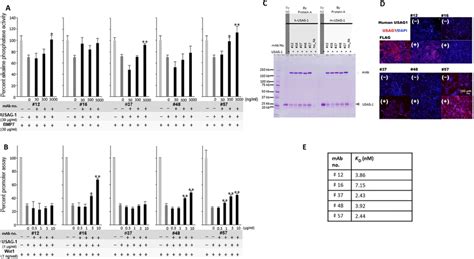 in vitro analyses of five types of usag 1 neutralizing antibodies 12 download scientific