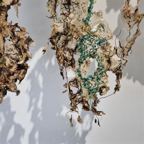 그린레시피랩 그린레시피랩 멤버를 소개합니다 🌳정원작가 자연에서 보이는 인간과 유사한 부분에 주목한다 섬은 바다에 홀로 떠있는듯 하지만 수면 아래로 육지 혹은 다른