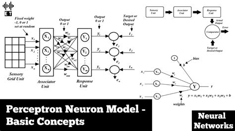 Perceptron Neural Network Model Basic Concepts Neural Networks Youtube