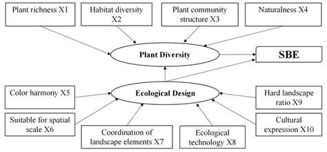 Hypothetical Model Of How Urban Wetland Ecological Design Affects The