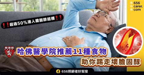 銀髮健康｜衞生署報告揭逾五成人患高膽固醇 哈佛醫學院推薦11種食物降低壞膽固醇
