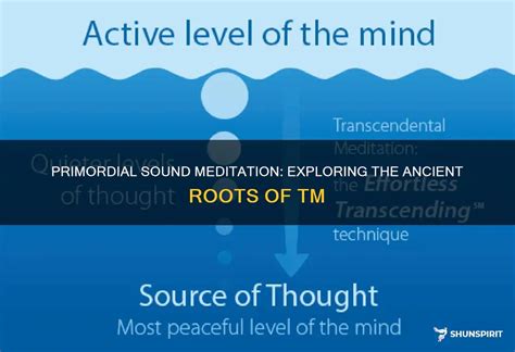 Primordial Sound Meditation Exploring The Ancient Roots Of Tm Shunspirit