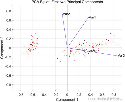 Matlab数学建模——主成分分析（pca）及可视化matlab 主成分分析可以画图吗 Csdn博客
