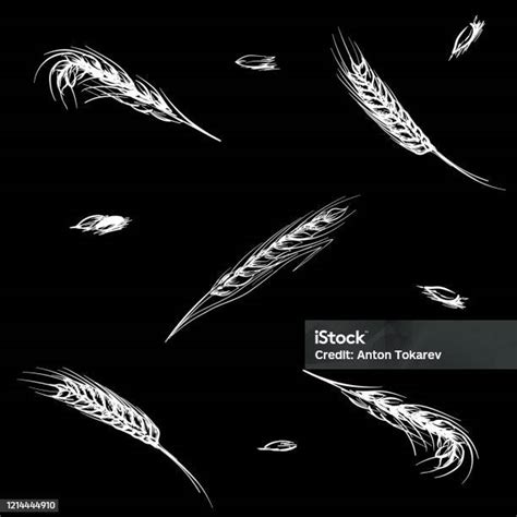 곡물에서 병에 이르기까지 위스키 만들기 공정 보리 귀와 곡물 매끄러운 패턴 보리에 대한 스톡 벡터 아트 및 기타 이미지 보리 싱글 몰트 스카치 위스키 곡초류 Istock