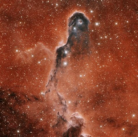 Ic 1396a Elephant Trunk Nebula Noirlab