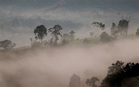 ในประเทศ จุดชมวิวภูค้อทะเลหมอกสวยอากาศ13องศา ภูหลวงหนาวสุด10องศา