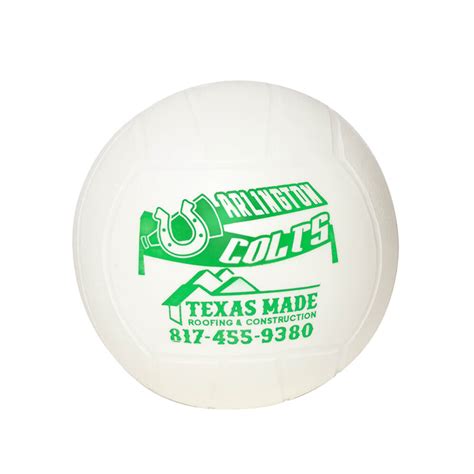 Mini Volleyball Academic Productions