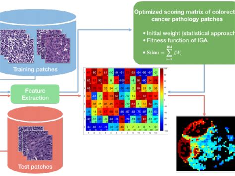 Developing A Novel Cancer Scoring Card Method For 蔡采潔s Portfolio