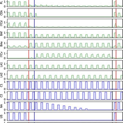 example of inputs and the consequent activation of the model neuronal download scientific