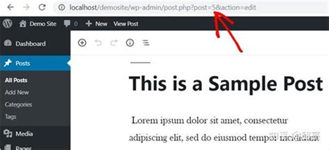 如何在 WordPress 页面或帖子中轻松添加 JavaScript 种方法 知乎