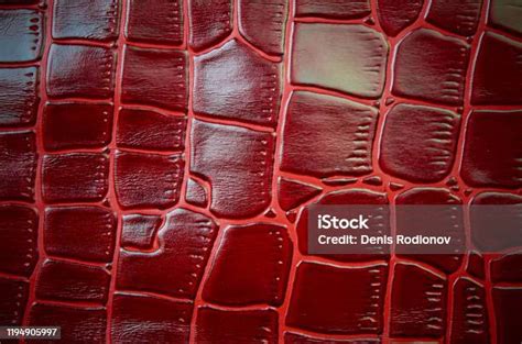 배경 상단보기에 대한 빨간색 가죽 악어 광택 질감 비네팅 가구에 대한 스톡 사진 및 기타 이미지 가구 가죽 고급 Istock