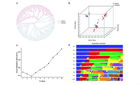 Genetic Structure Analysis Of 100 Individuals Which Include 50