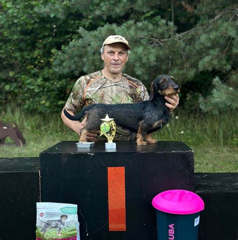 Volodymyr Teckel Bashniak