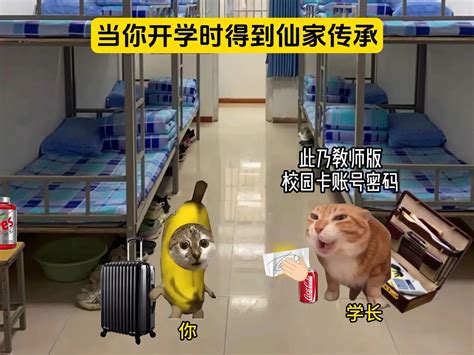 学长你们的传承由我来守护哔哩哔哩bilibili