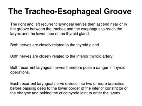 Ppt Thyroid Surgery And Nerve Monitoring Course Powerpoint