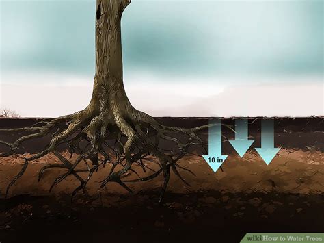How To Water Trees With Pictures WikiHow