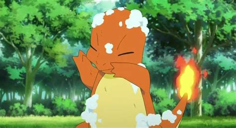 파이리vs꼬부기vs이상해씨 인스티즈 Instiz 인티포털