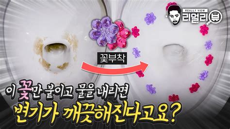 변기에 꽃이 피었습니다 자동으로 변기를 깨끗하게 만들어 준다는 플라워 주사기 후기 Youtube