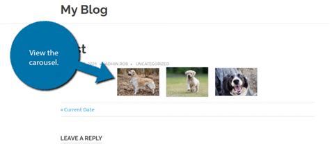 how to add a gallery carousel in wordpress greengeeks