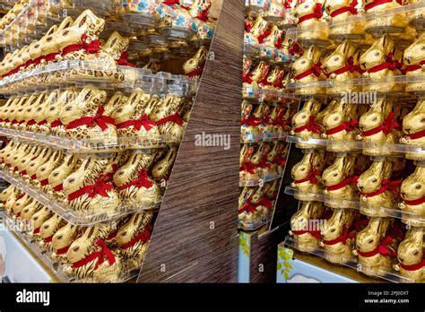 Many Chocolate Easter Bunnies Chocolate Bunnies Lindt Gold Bunnies Pallet In Supermarket