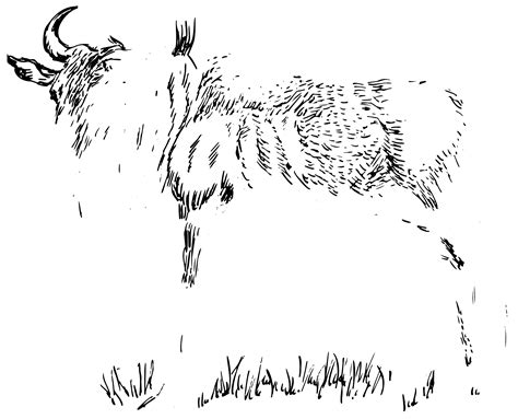 Download Gnu Line Art Svg Freepngimg