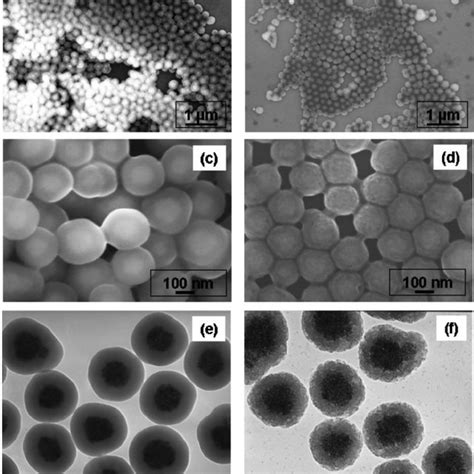 Left Column Morphology Of The Sio 2 Shellfe 3 O 4 Core Structure Download Scientific