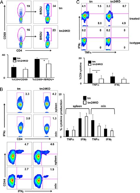 Decreased T Cell Activation Proliferation And Cytokine Production In Download Scientific