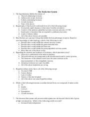 MCDB 111 Midterm 2 The Endocrine System Self Assesments Docx The Endocrine System 1 The