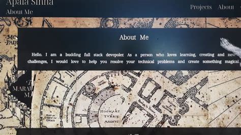 Javascript Css Project Animation Functionalprogramming Portfolio Apala Sinha