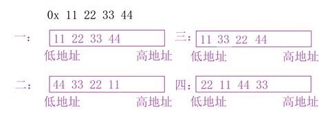 C语言数据在内存中的存储 编程学习者