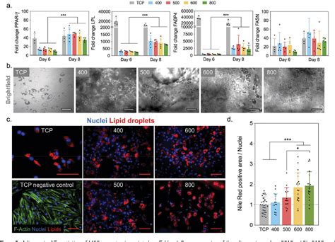 Figure 2 From Evaluation Of 3d Printed Gelatin Based Scaffolds With