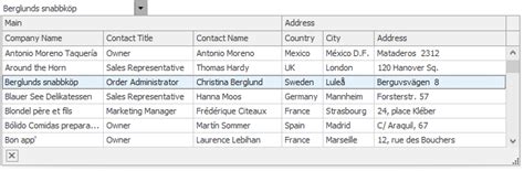 WinForms Lookup Controls Which Lookup To Use In Your Next WinForms