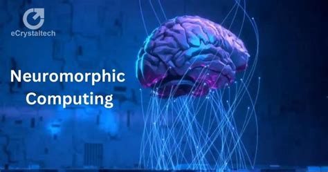 Neuromorphic Computing A Gateway To The Brain Inspired Future May 2025