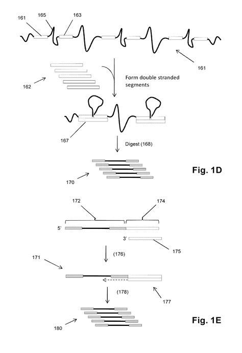 Single Cell Analysis Patented Technology Retrieval Search Results