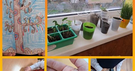 The Magical Tree Scientix Blog Scientix Blog