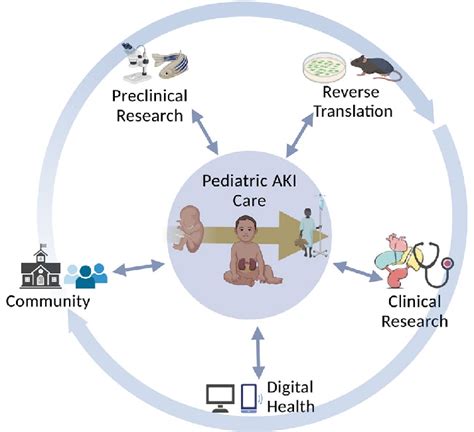 Visual Representation Of An Integrated Framework For Translational Download Scientific Diagram