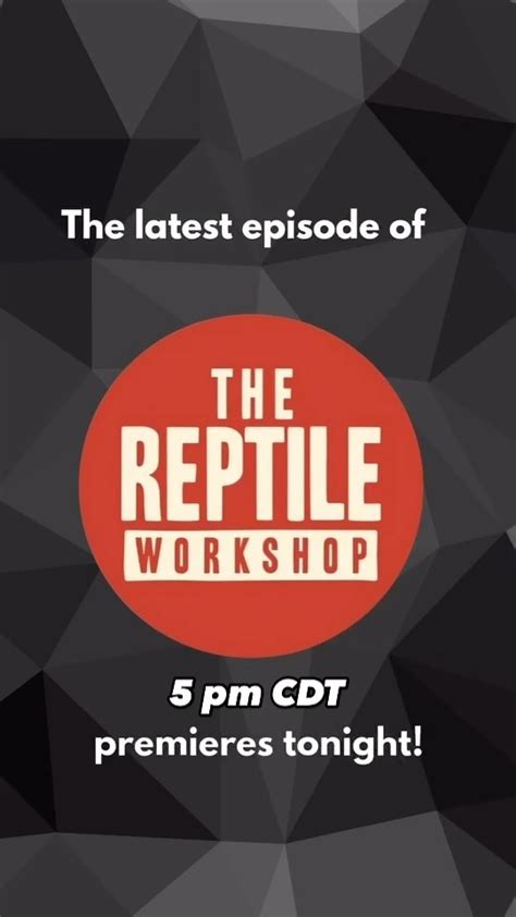 The Reptile Workshop Thereptileworkshop • Instagram Photos And Videos