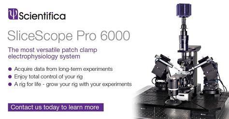 Electrophysiology Imaging Scientifica