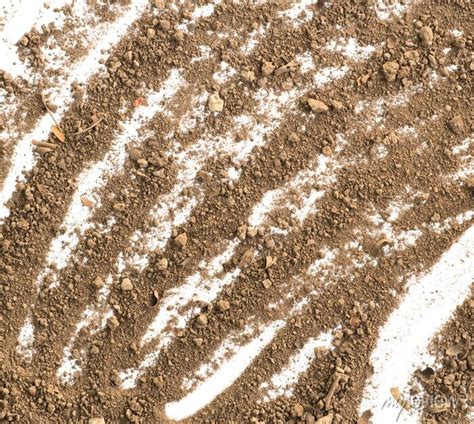 Terra Suja No Fundo Branco Textura Natural Do Solo • Adesivos Para A