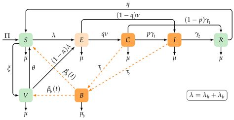 Mathematics Free Full Text Analyzing The Dynamics Of A Periodic Typhoid Fever Transmission