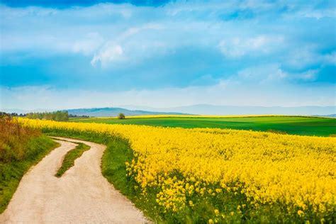 Top 10 Must Know Landscape Composition Tips