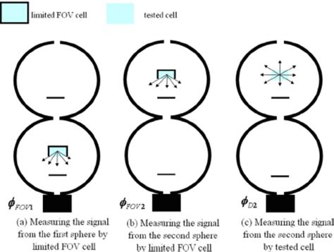 Color Online Schematic Drawing Of The Bioluminescence Experiential Download Scientific