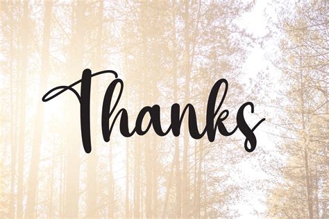 Sunlight Script Font Masterbundles