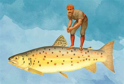 Dasymetric Reaggregation Using Mapshaper By Denise Lu Medium