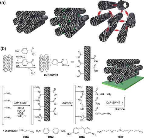 Synthesis Of Diamine Cross Linked Swnt Frameworks A Schematic Download Scientific Diagram