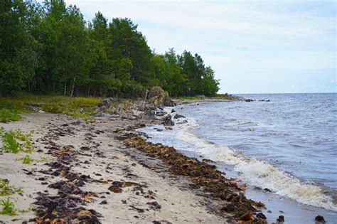 바위가 많은 지형과 돌이 많은 해안이 하늘을 배경으로 청록색 바다의 푸른 거품 파도에 씻겨 다니는 아름다운 바다 풍경 0명에 대한 스톡 사진 및 기타 이미지 Istock